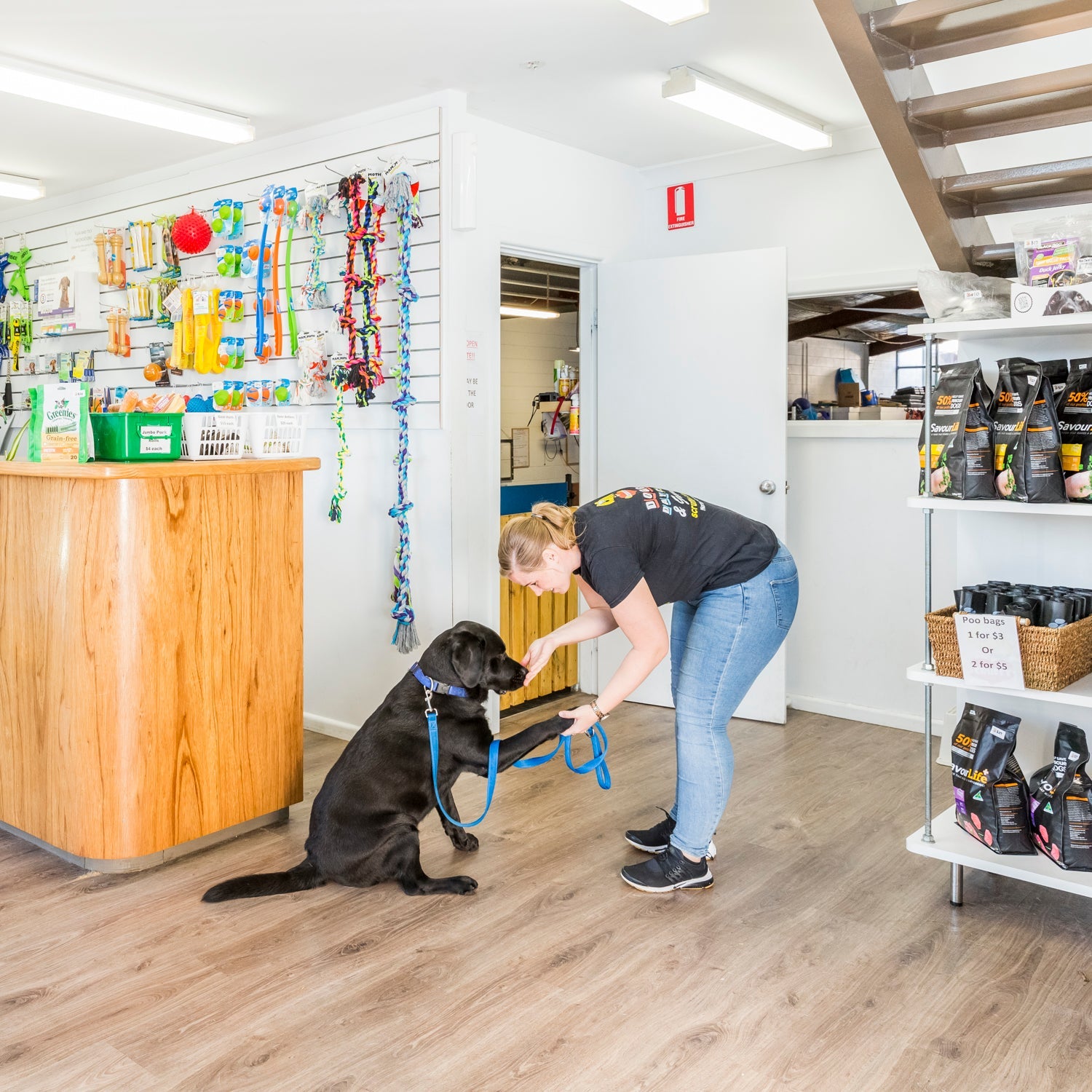 Training Packages – Scruffys